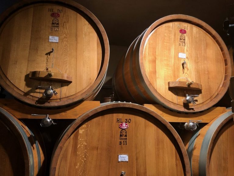 Moschioni winery in Friuli Venezia Giulia - visiting the winery - Enolike